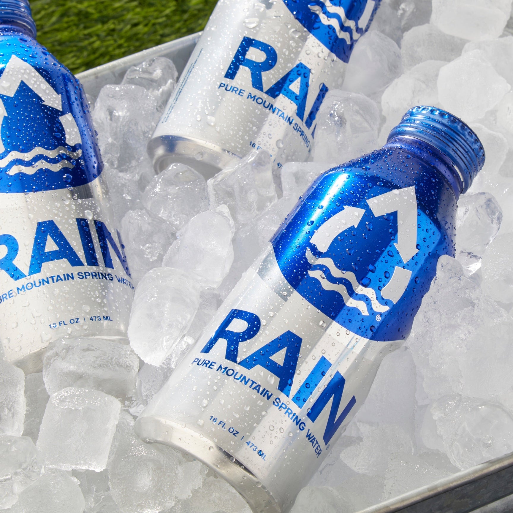 (24 Pack) RAIN Pure Mountain Spring Water