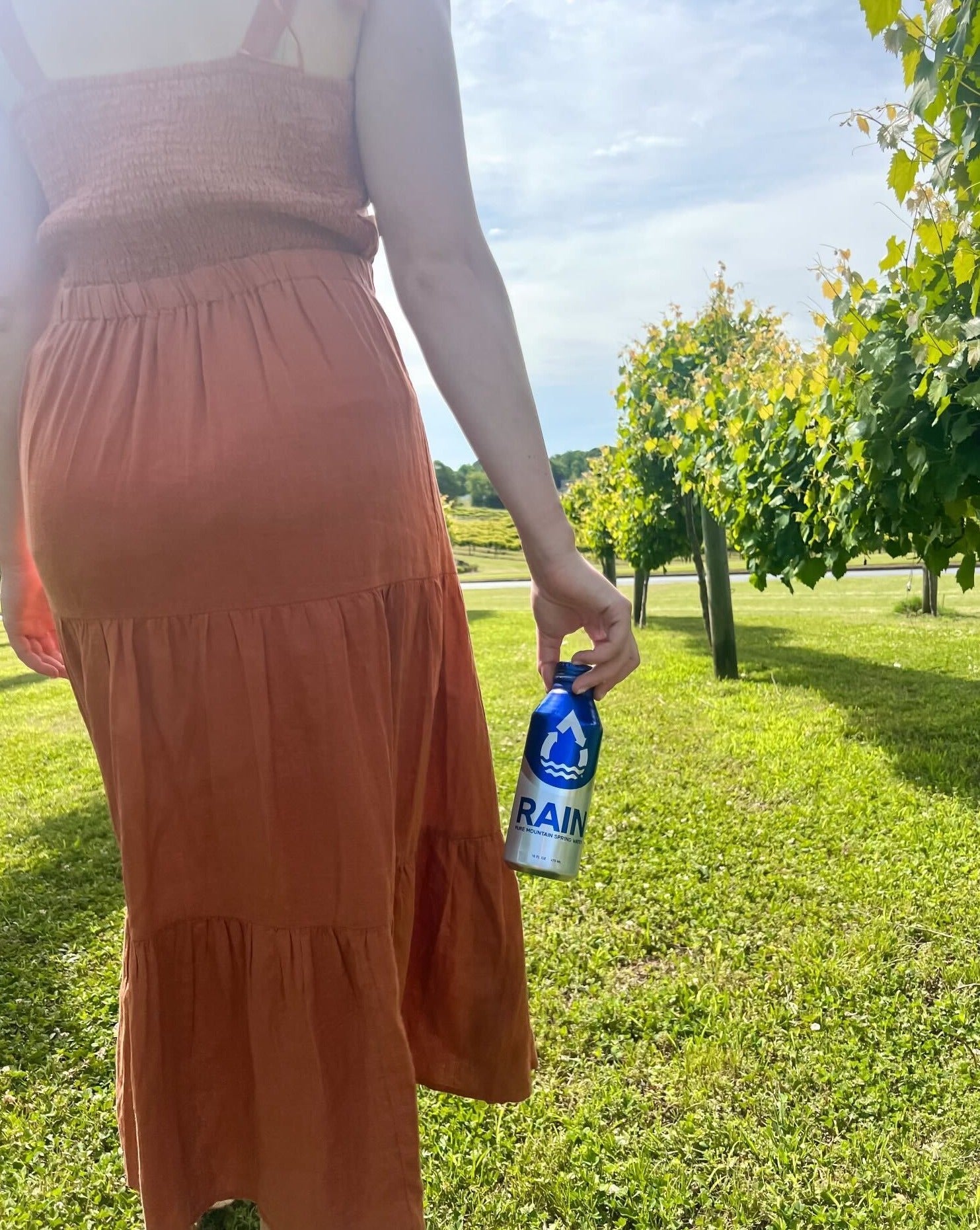 (24 Pack) RAIN Pure Mountain Spring Water