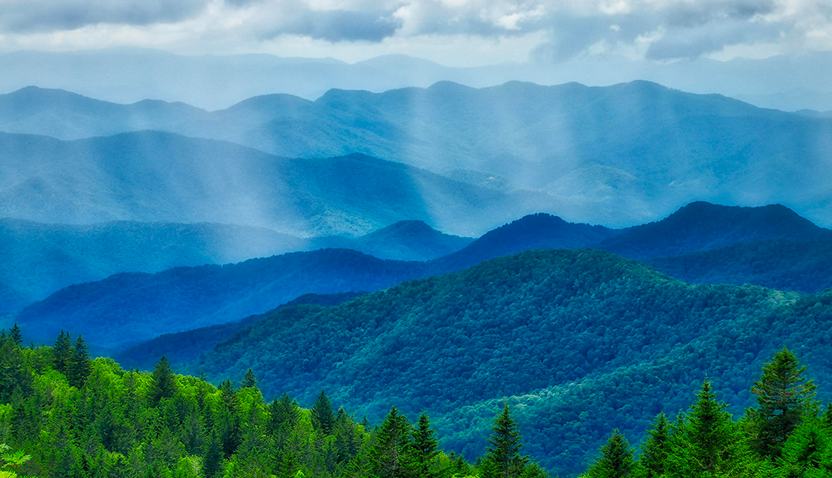 Aluminum Bottled Water | Natural Spring Water | RAIN